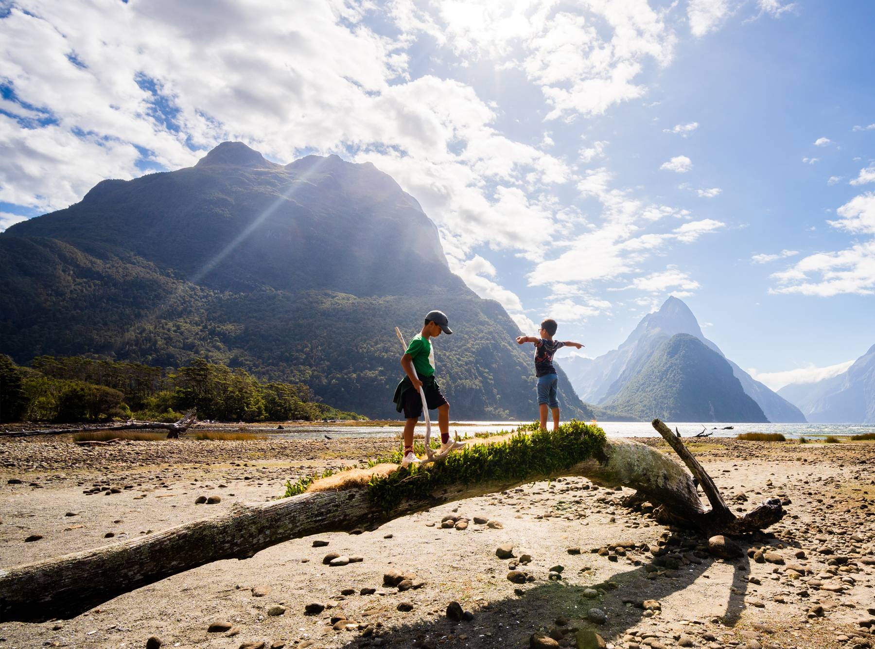 A Regenerative Education Model - Regenerative Aotoaroa New Zealand
